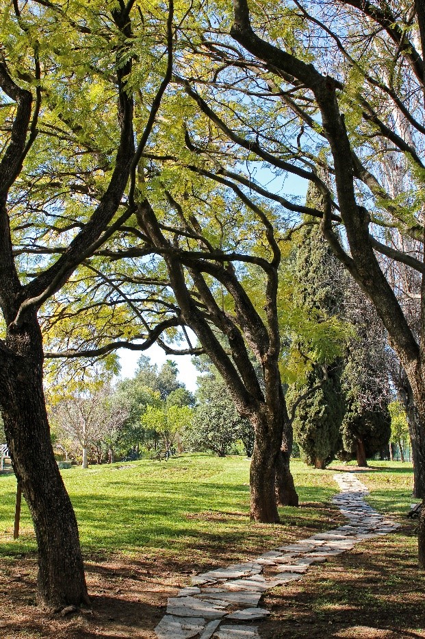 Emasesa realiza en “El Jardín Botánico El Arboreto” actividades y ...